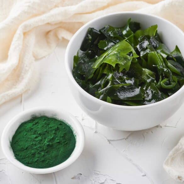 The Surprising List of Kelp Benefits for Skin - Tru&Well